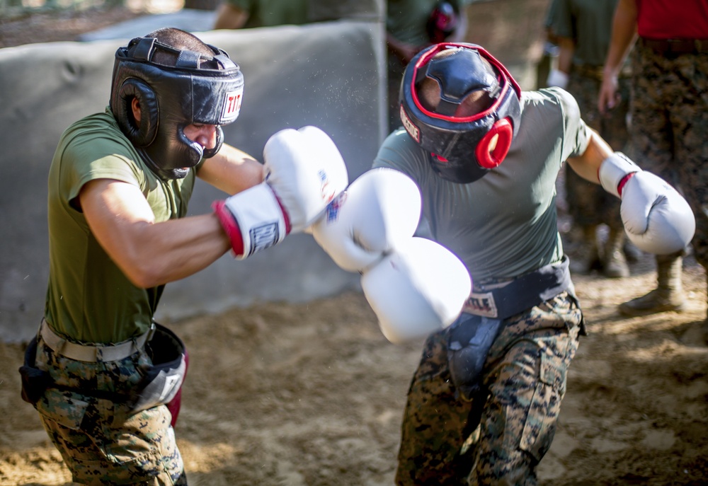 DVIDS - Images - Delta Company Body Sparring [Image 14 of 14]