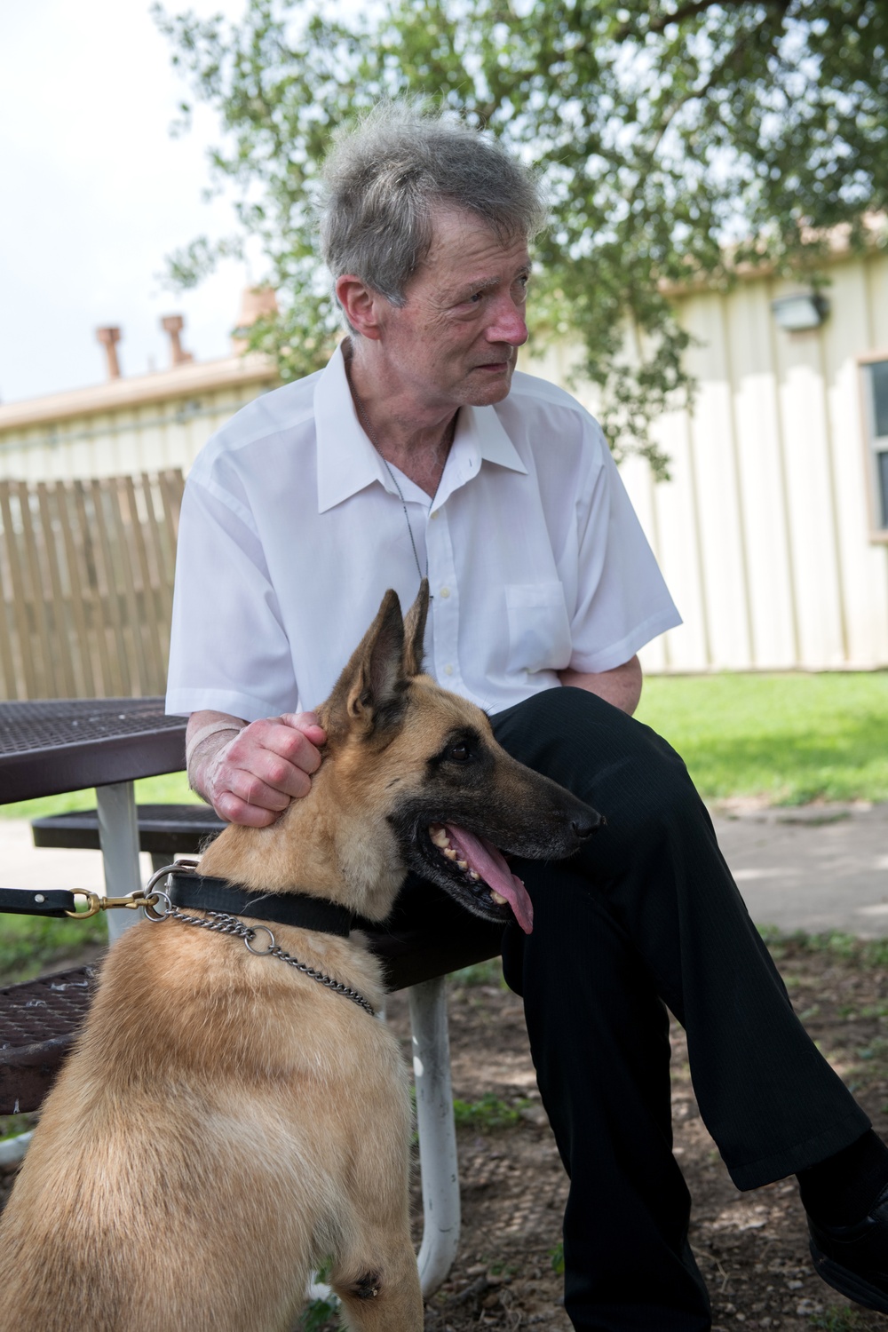 DVIDS - Images - Retired MWDs looking for family, homes, couches [Image ... DVIDS - Images - Retired MWDs looking for family, homes, couches [Image ...