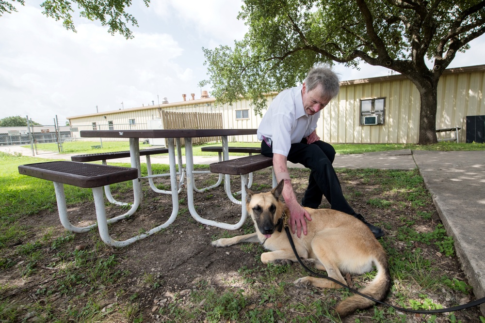 DVIDS - Images - Retired MWDs looking for family, homes, couches [Image ... DVIDS - Images - Retired MWDs looking for family, homes, couches [Image ...