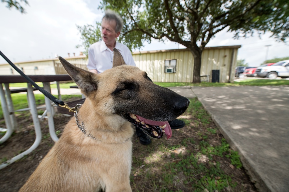 DVIDS - Images - Retired MWDs looking for family, homes, couches [Image ... DVIDS - Images - Retired MWDs looking for family, homes, couches [Image ...