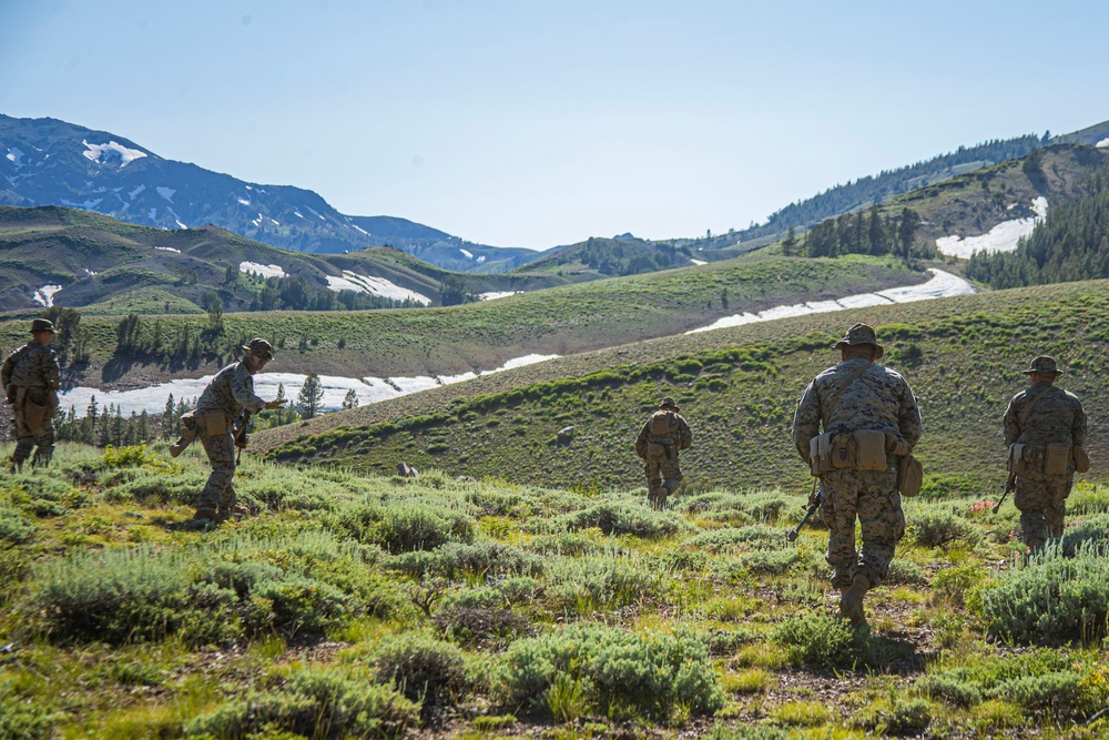 DVIDS - Images - MTX 4-19: H&S Resupply [Image 7 of 11]