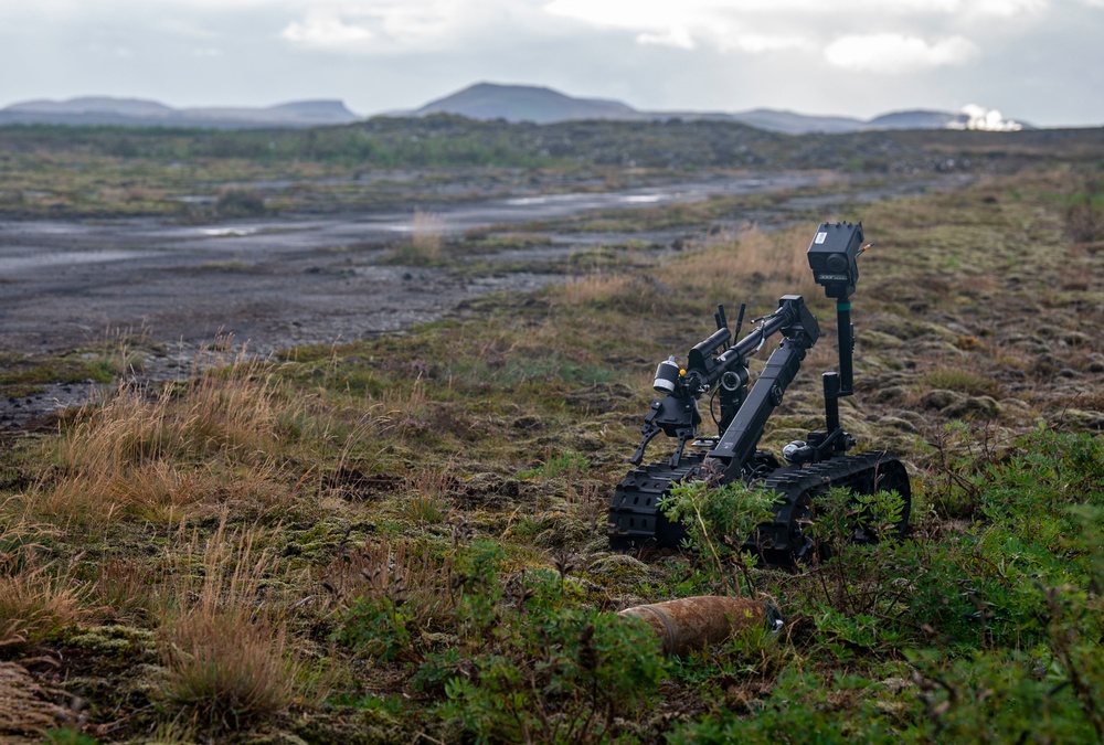 DVIDS - Images - EODMU 8 conducts land-based IED training during ...