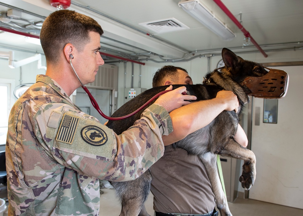 DVIDS - Images - MWD Semi-Annual Wellness Check [Image 1 of 4]