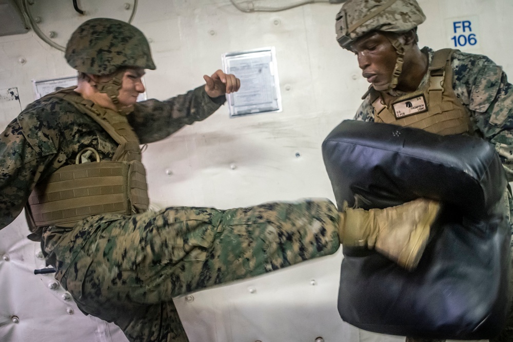 DVIDS - Images - MAI Course Culminating Event aboard USS John P. Murtha ...