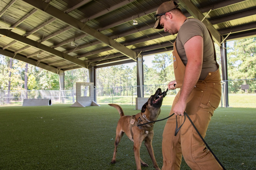 DVIDS - Images - K-9 handler achieves dream, expands MWD knowledge ...