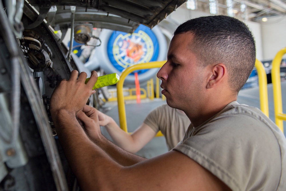 DVIDS - Images - A-10 phase inspection promotes flight readiness [Image ...