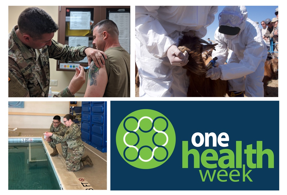 DVIDS - News - One Health Week highlights comprehensive public health ...