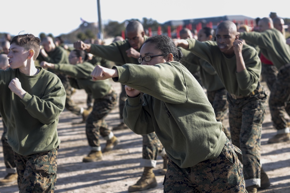 DVIDS - Images - Bravo Company MCMAP [Image 3 of 4]