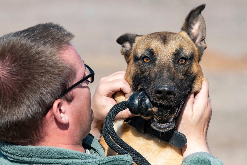 DVIDS - Images - 97 SFS builds better bonds through kennel renovations ...