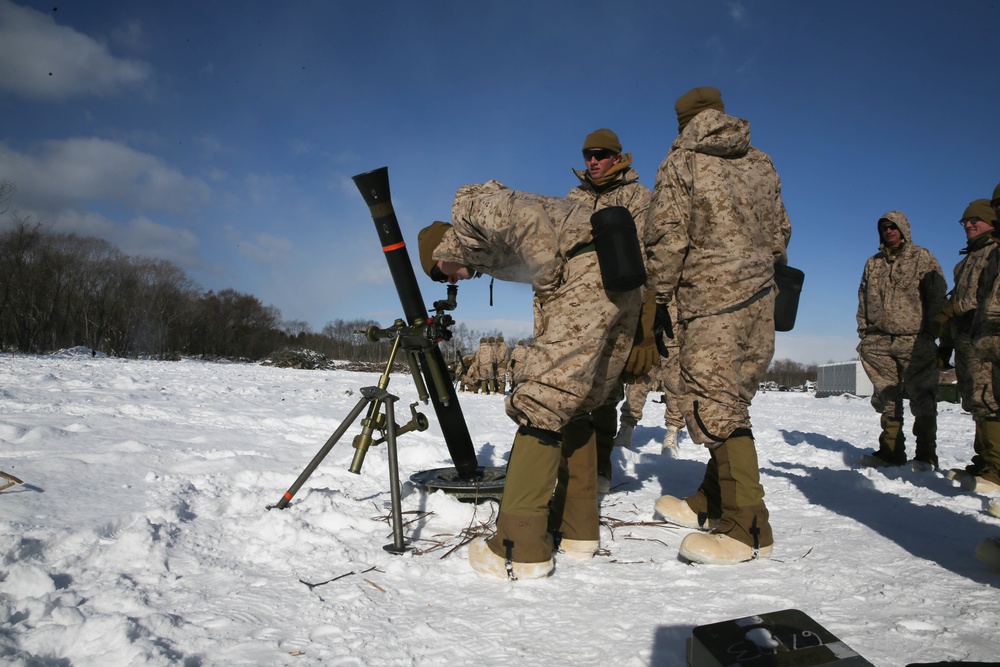 DVIDS - Images - Mortarmen on a Mission at Northern Viper 2020 [Image 3 ...