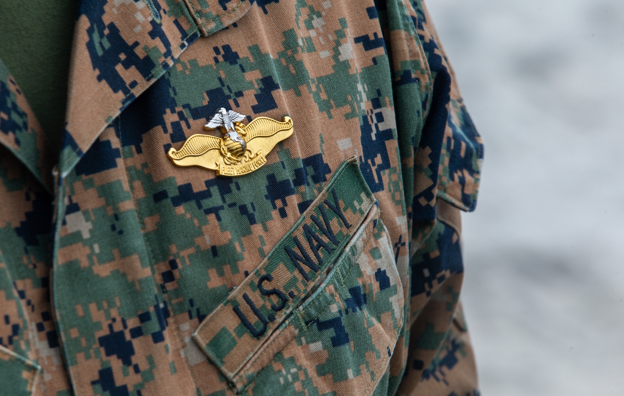 Fleet Marine Force Logo