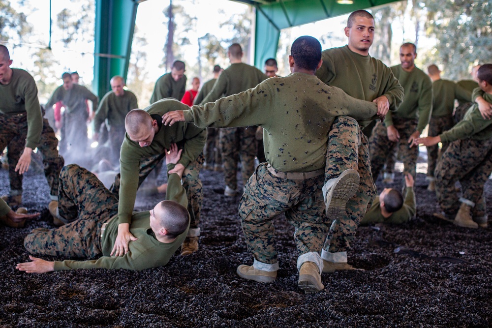 DVIDS - Images - Charlie Company MCMAP - Falls and Leg Sweep [Image 13 ...