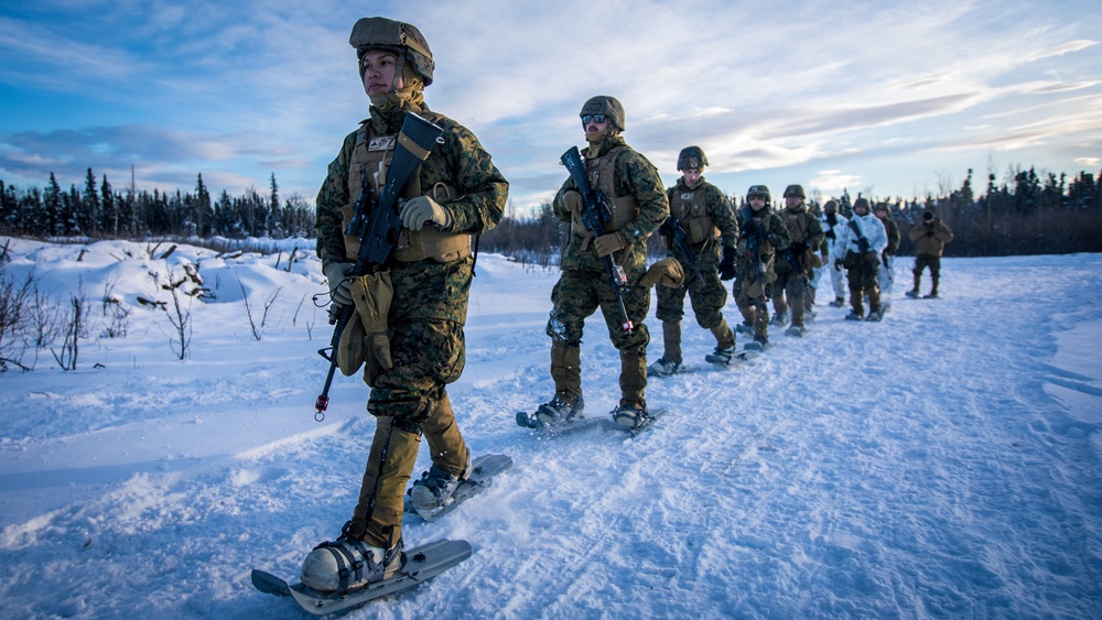 DVIDS - Images - SPMAGTF-AE: Marines with 7th ESB and 2nd LAAD conduct ...