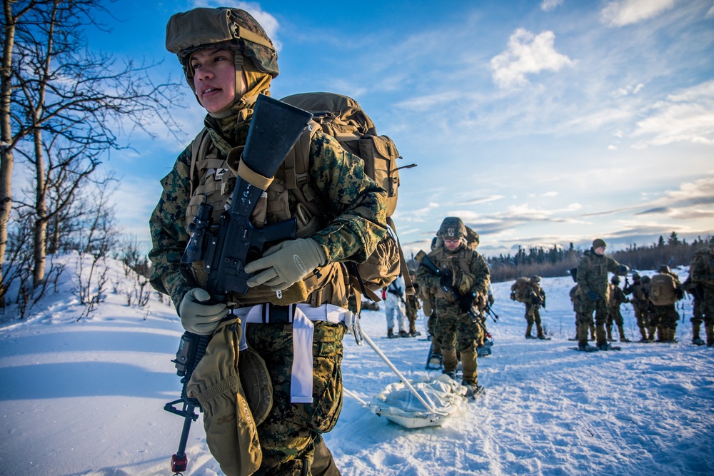 DVIDS - Images - SPMAGTF-AE: Marines with 7th ESB and 2nd LAAD conduct ...