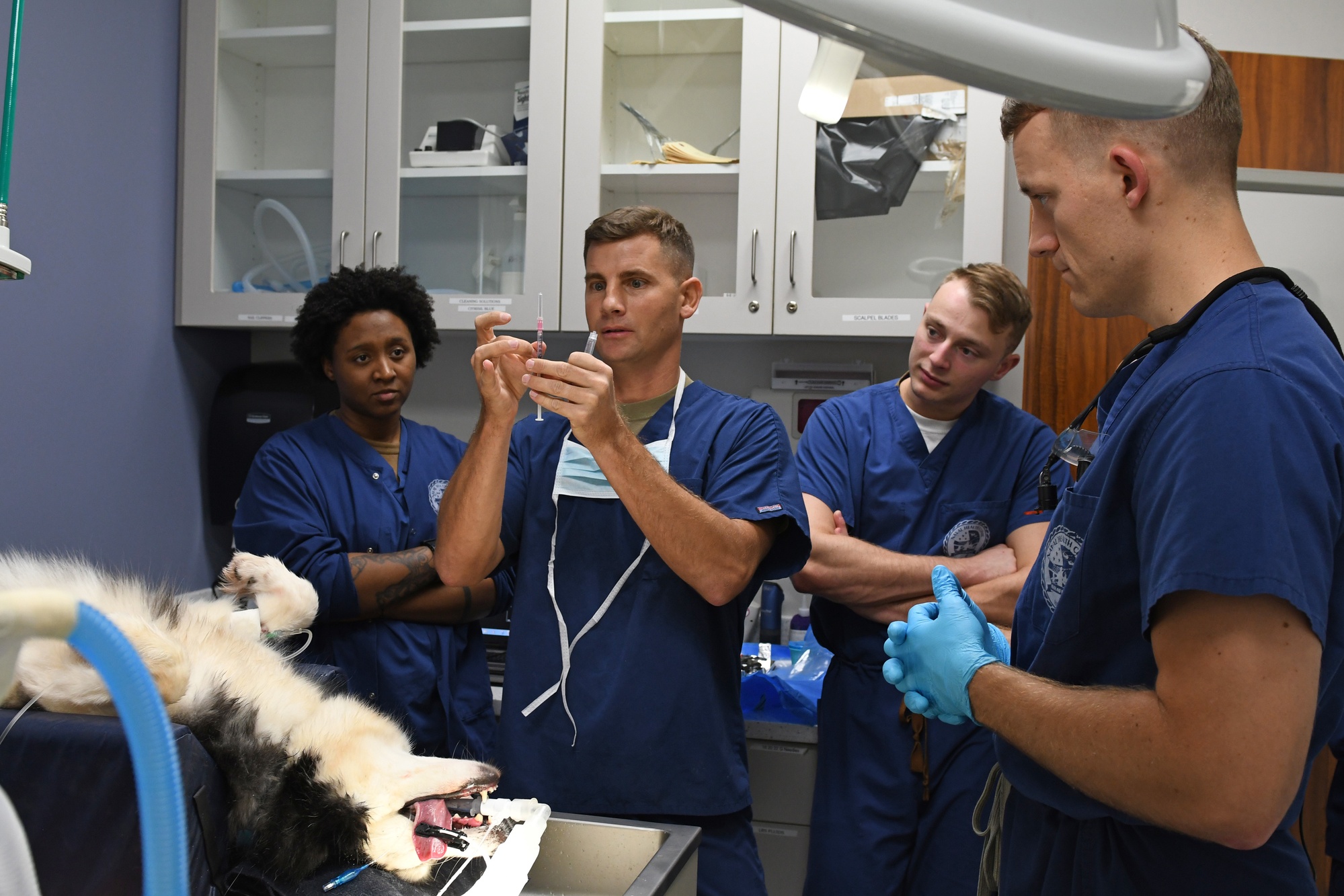 Veterinarian Training