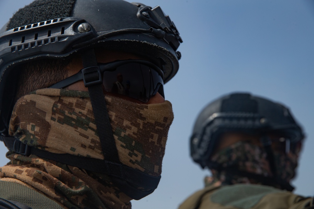 DVIDS - Images - 1st Recon Trains with UAE Operators during Exercise ...