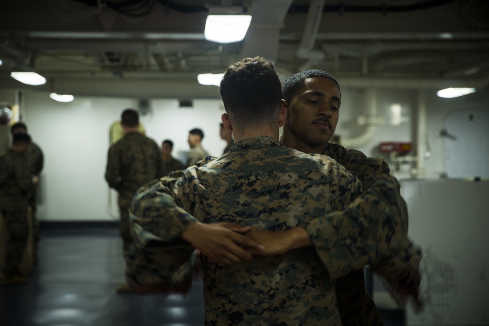 DVIDS - Images - BLT 1/5, 31st MEU Marines test MCMAP knowledge at sea ...