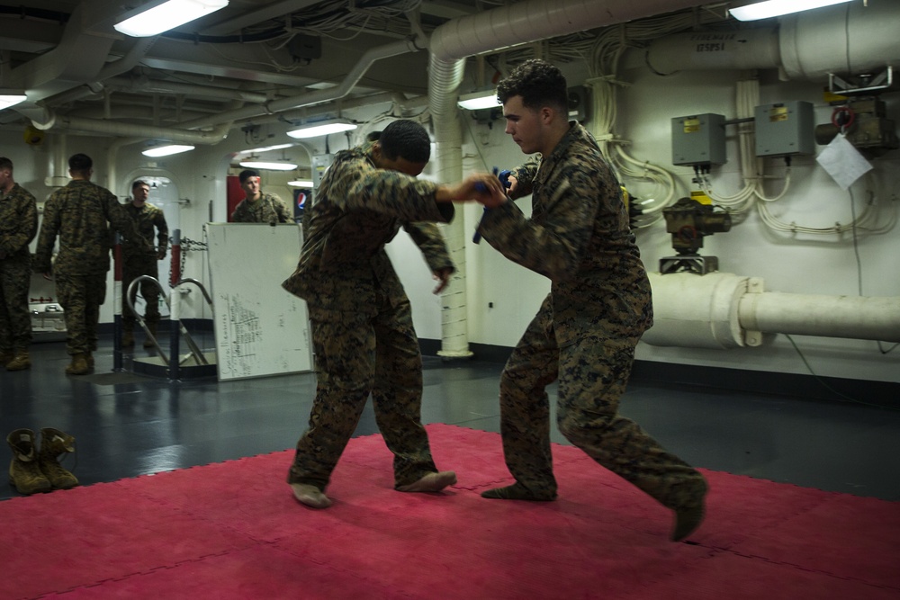 DVIDS - Images - BLT 1/5, 31st MEU Marines test MCMAP knowledge at sea ...