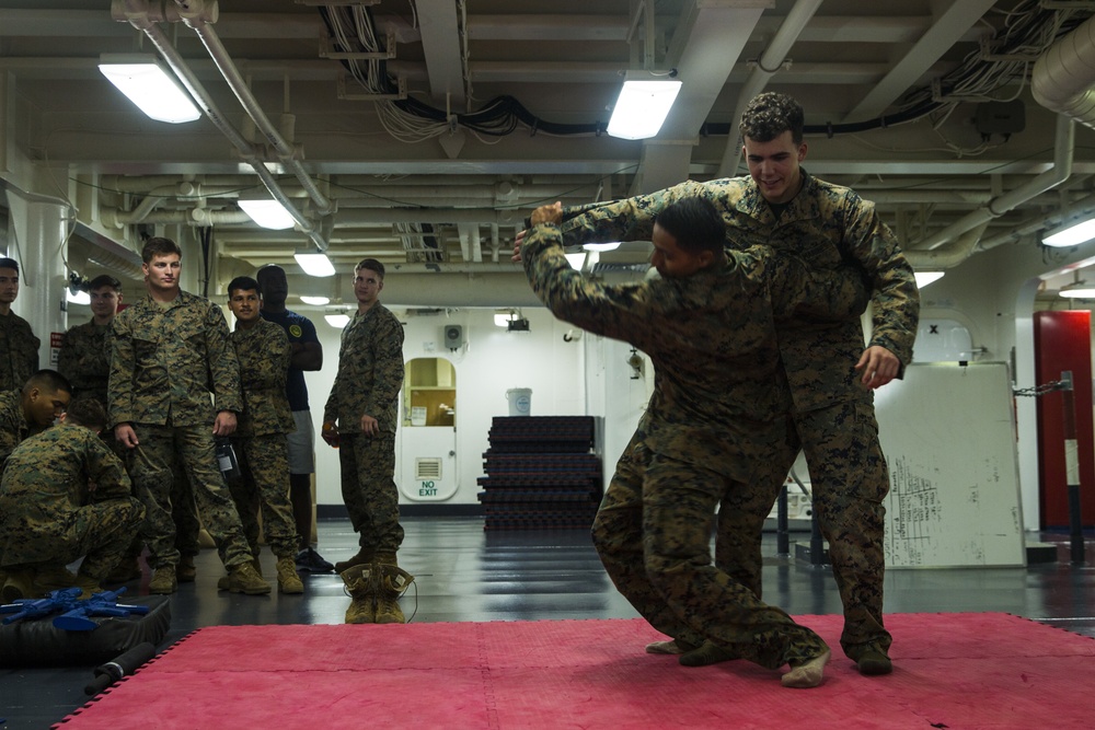 DVIDS - Images - BLT 1/5, 31st MEU Marines test MCMAP knowledge at sea ...