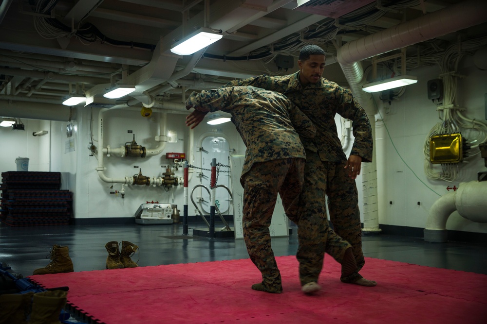 DVIDS - Images - BLT 1/5, 31st MEU Marines test MCMAP knowledge at sea ...