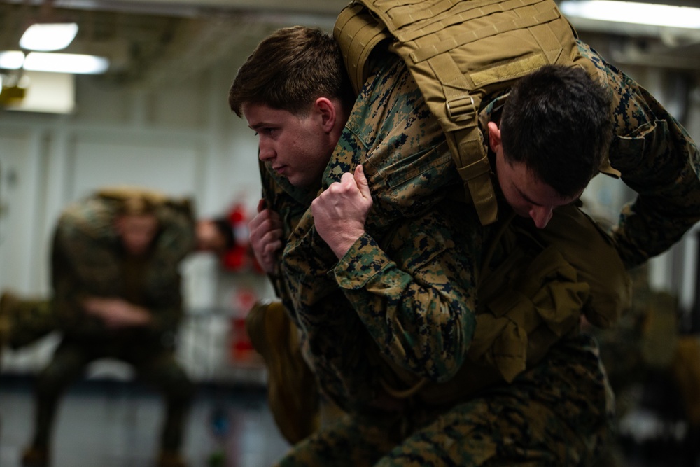 DVIDS - Images - 31st MEU Marines, USS America Sailors conduct MCMAP in ...