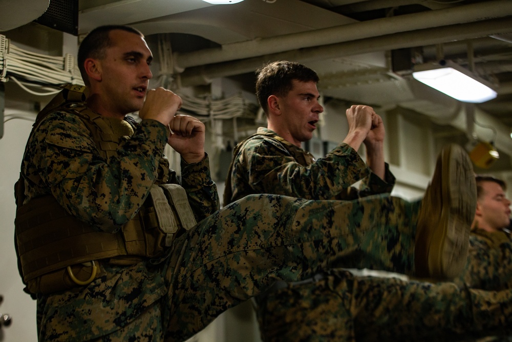 DVIDS - Images - 31st MEU Marines, USS America Sailors conduct MCMAP in ...