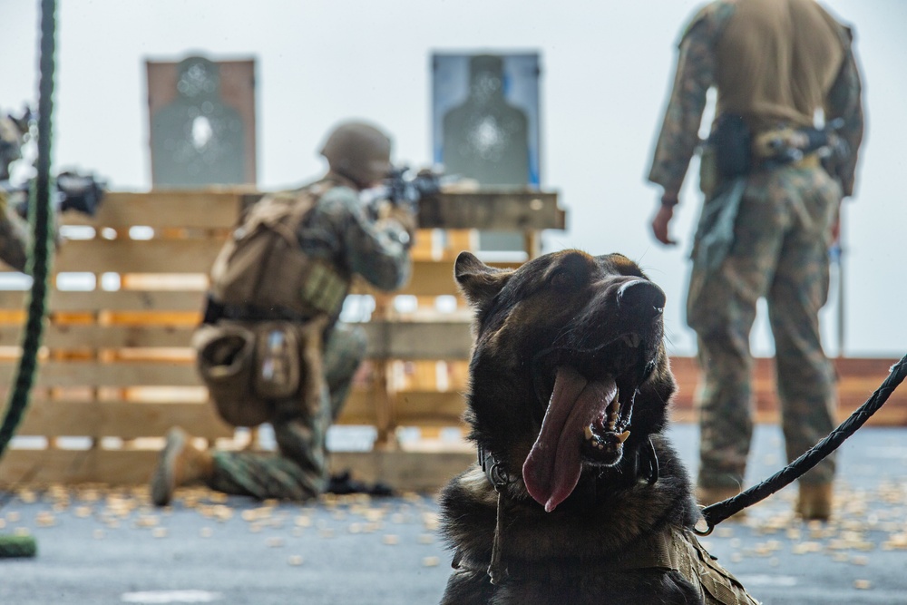 DVIDS - Images - 31st MEU Marines hone fast rope techniques and ...