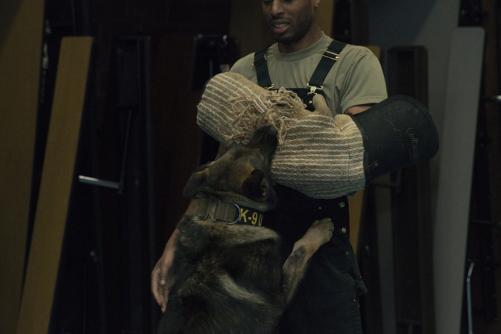 DVIDS - Images - Building a K-9: Drug detection, building search ...