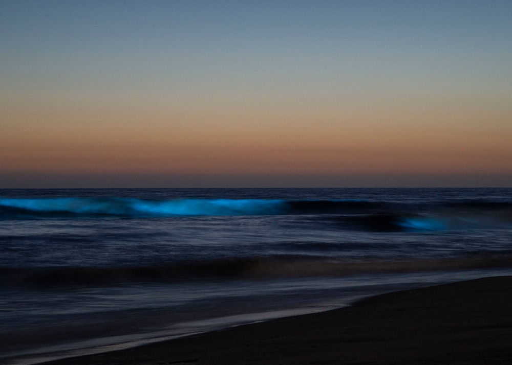 DVIDS - Images - Bioluminescence lights up Camp Pendleton beaches ...