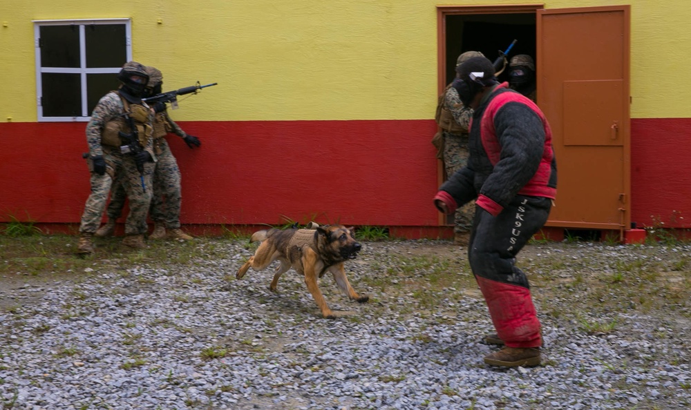 DVIDS - Images - 3rd Marine Division conduct MOUT training with ...