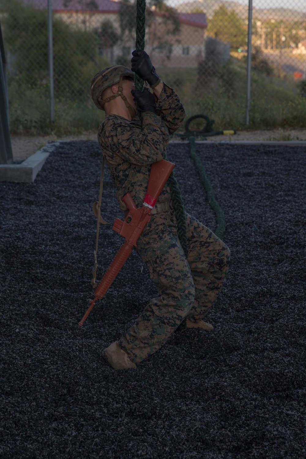 DVIDS - Images - BLT 1/4 enhances fast-roping techniques [Image 2 of 4]