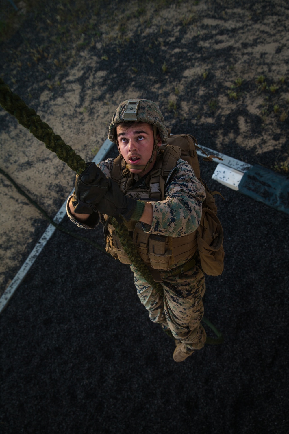 DVIDS - Images - BLT 1/4 enhances fast-roping techniques [Image 3 of 4]