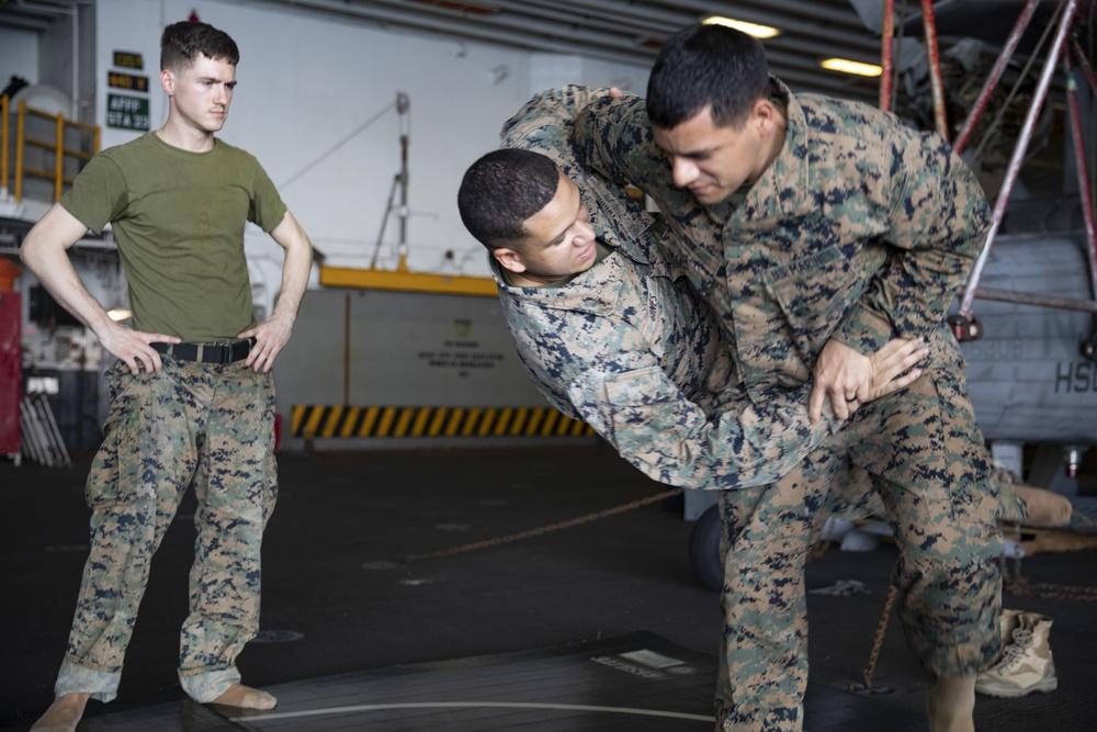 DVIDS - Images - USS Bataan (LHD 5) MCMAP [Image 3 of 7]