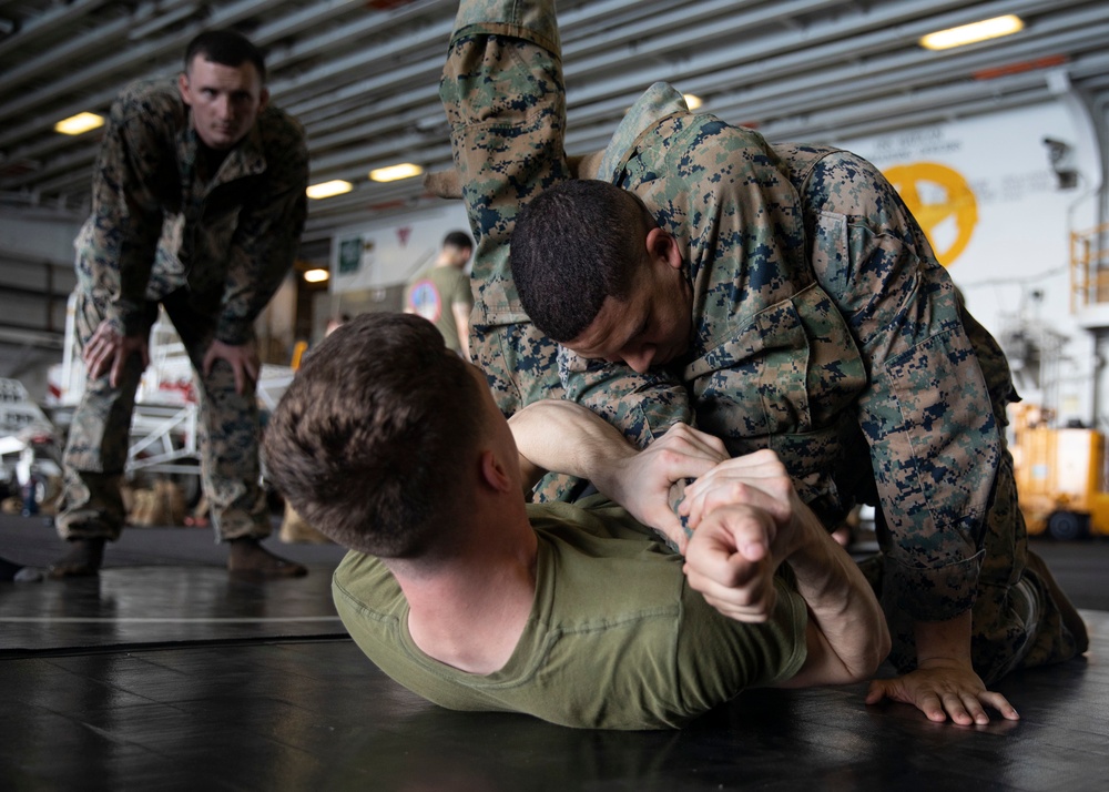 DVIDS - Images - USS Bataan (LHD 5) MCMAP [Image 7 of 7]