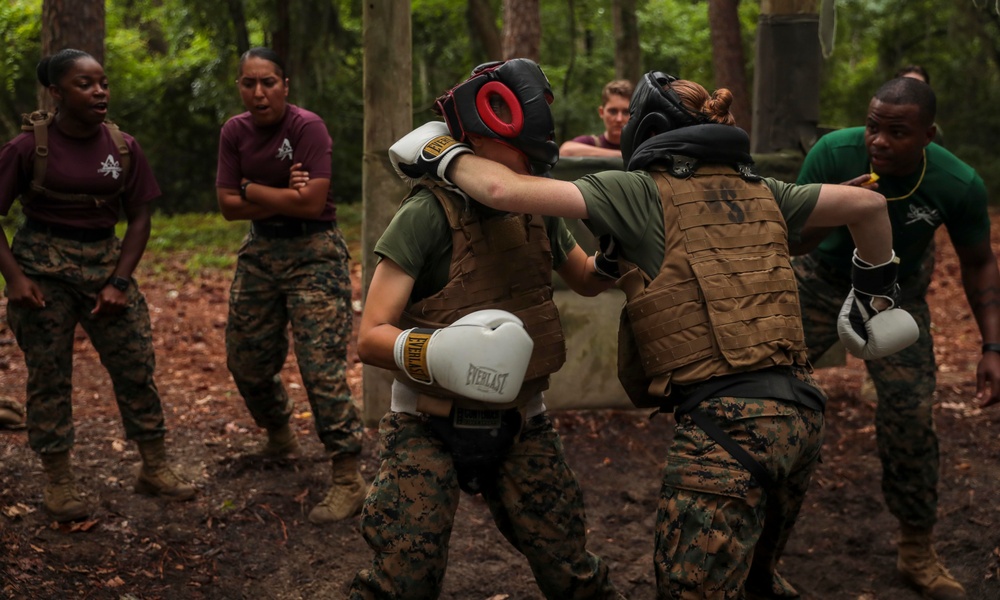 DVIDS - Images - Oscar 1 Bayonet Assault Course and Body Sparring ...