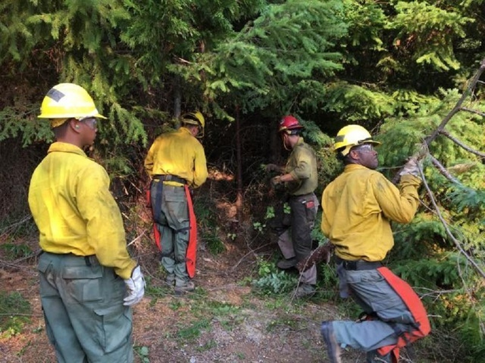 DVIDS - News - 'Strength of the Nation' assists wildland firefighting ...