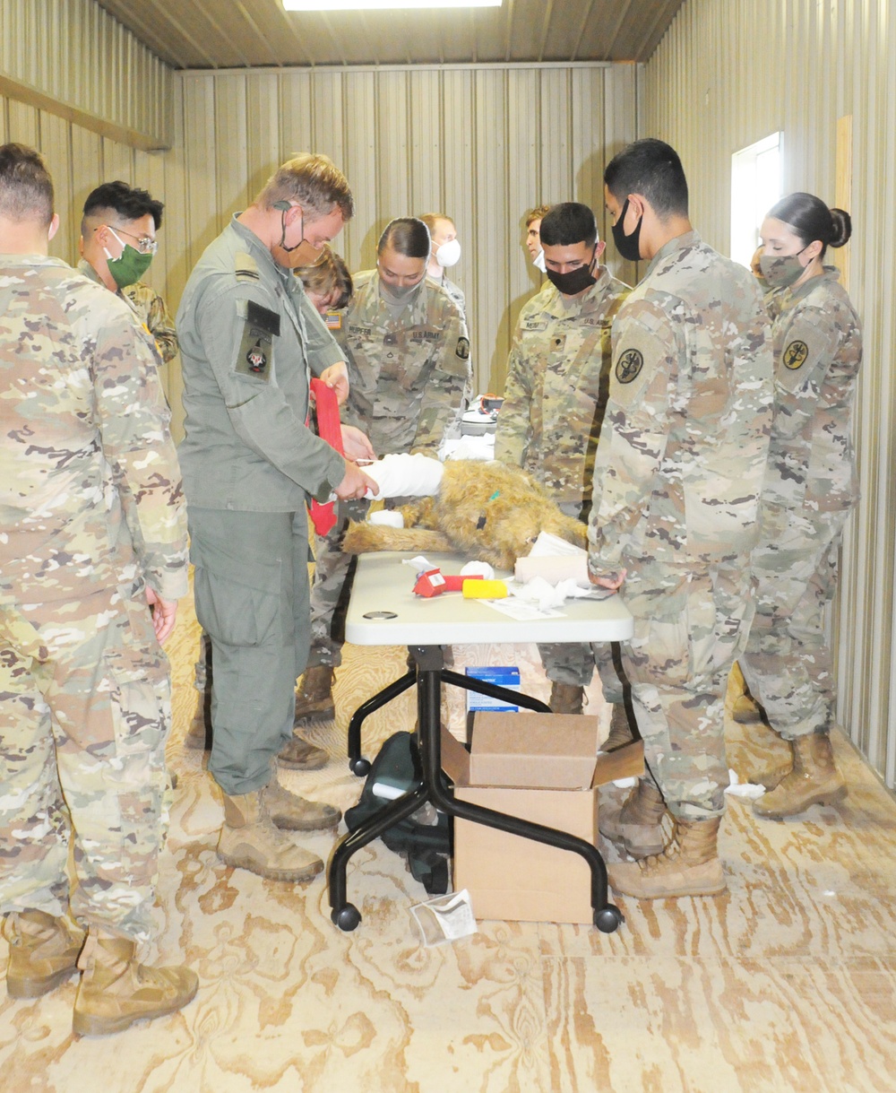 DVIDS - News - Medics, more train to save K-9s during combat
