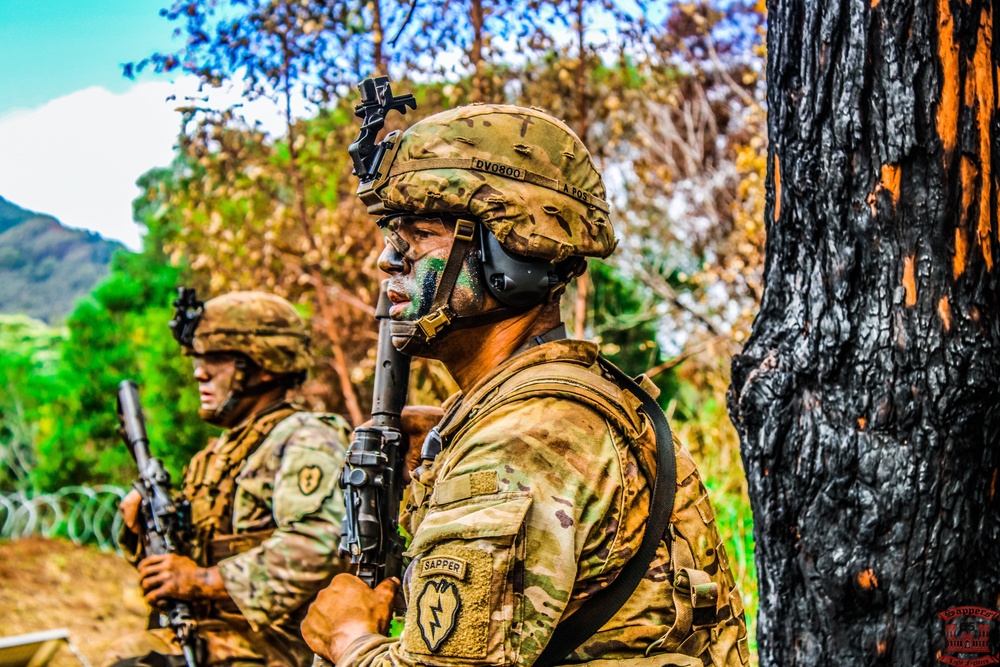 DVIDS - Images - SAPPER COMPANY CALFEX [Image 2 of 4]