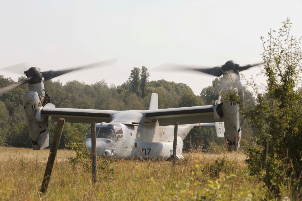 DVIDS - Images - U.S. Marines take part in Saber Junction 20 [Image 3 of 9]