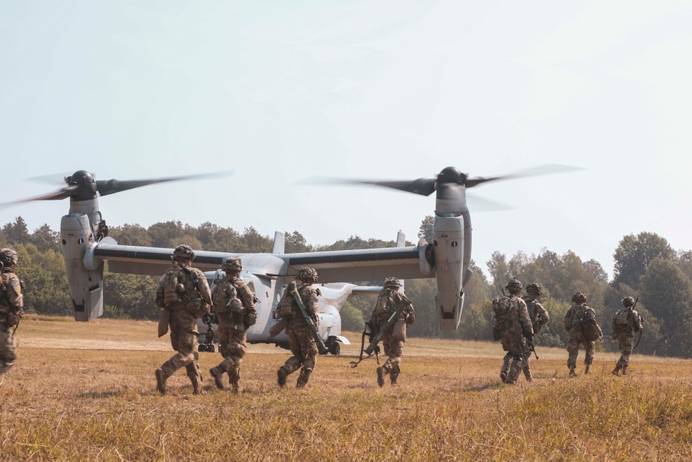 DVIDS - Images - U.S. Marines take part in Saber Junction 20 [Image 9 of 9]