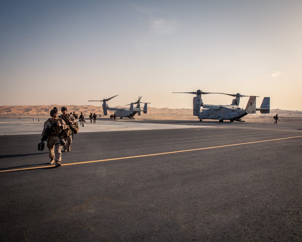 DVIDS - Images - Falcon Sentry [Image 2 of 2]