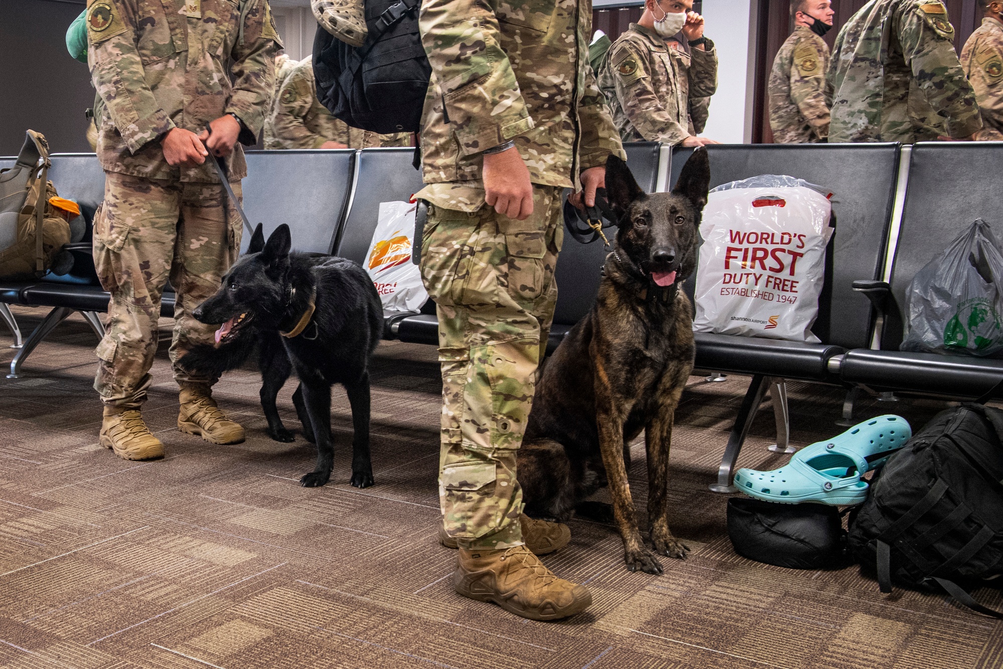 Is Dogs On Deployment Free