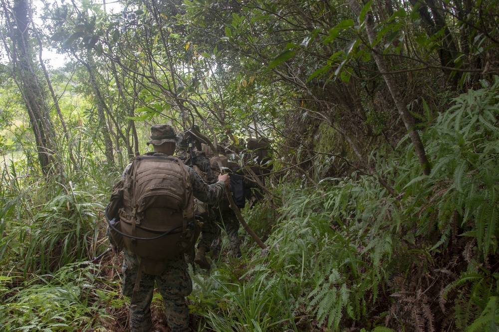DVIDS - Images - Marines and Sailors aboard USS America Conduct Jungle ...