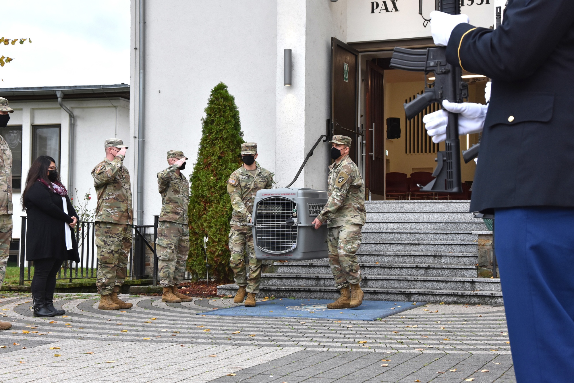 Rank Military Working Dogs