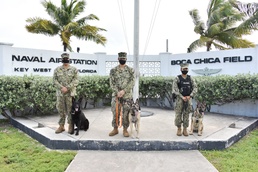 Military Working Dog retires from NAS Key West