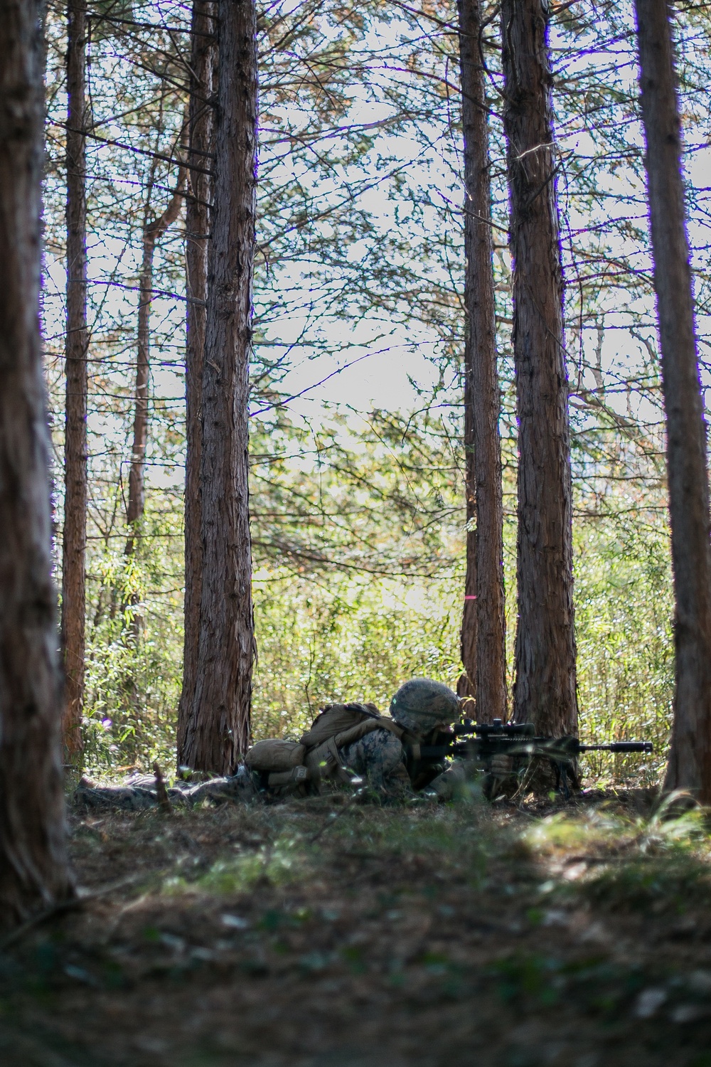 DVIDS - Images - Marines prepare for Exercise Forest Light with squad ...