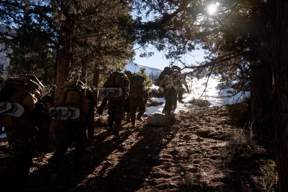 DVIDS - Images - Marine Mountain Engineers Plunge into Icy Waters ...