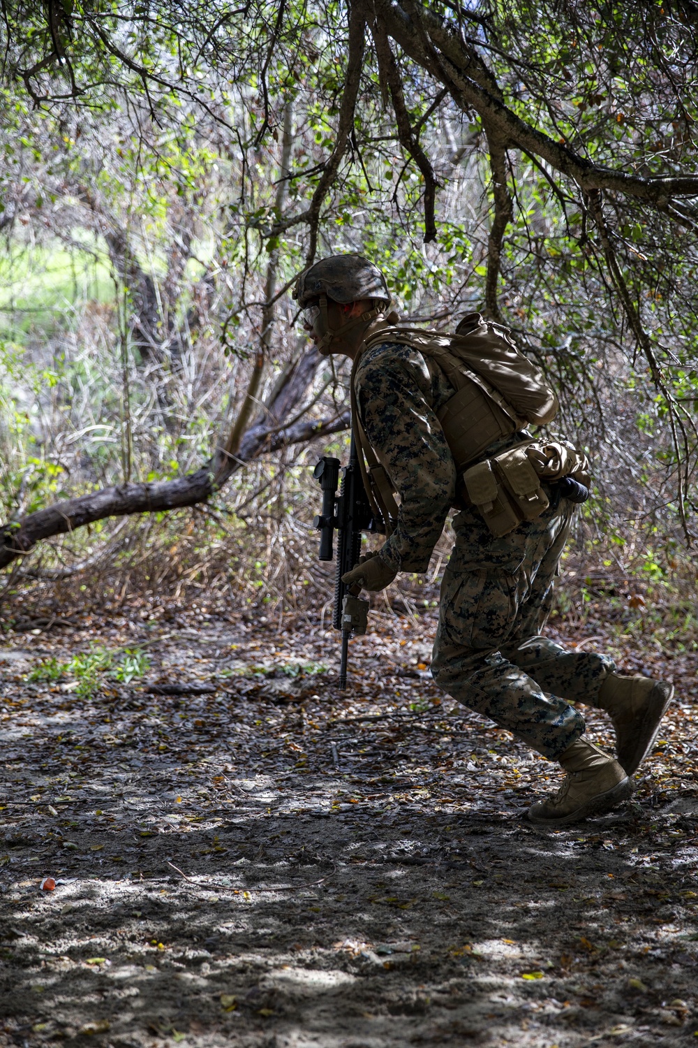 DVIDS - Images - IMC Marines conduct fire and movement drills [Image 3 ...