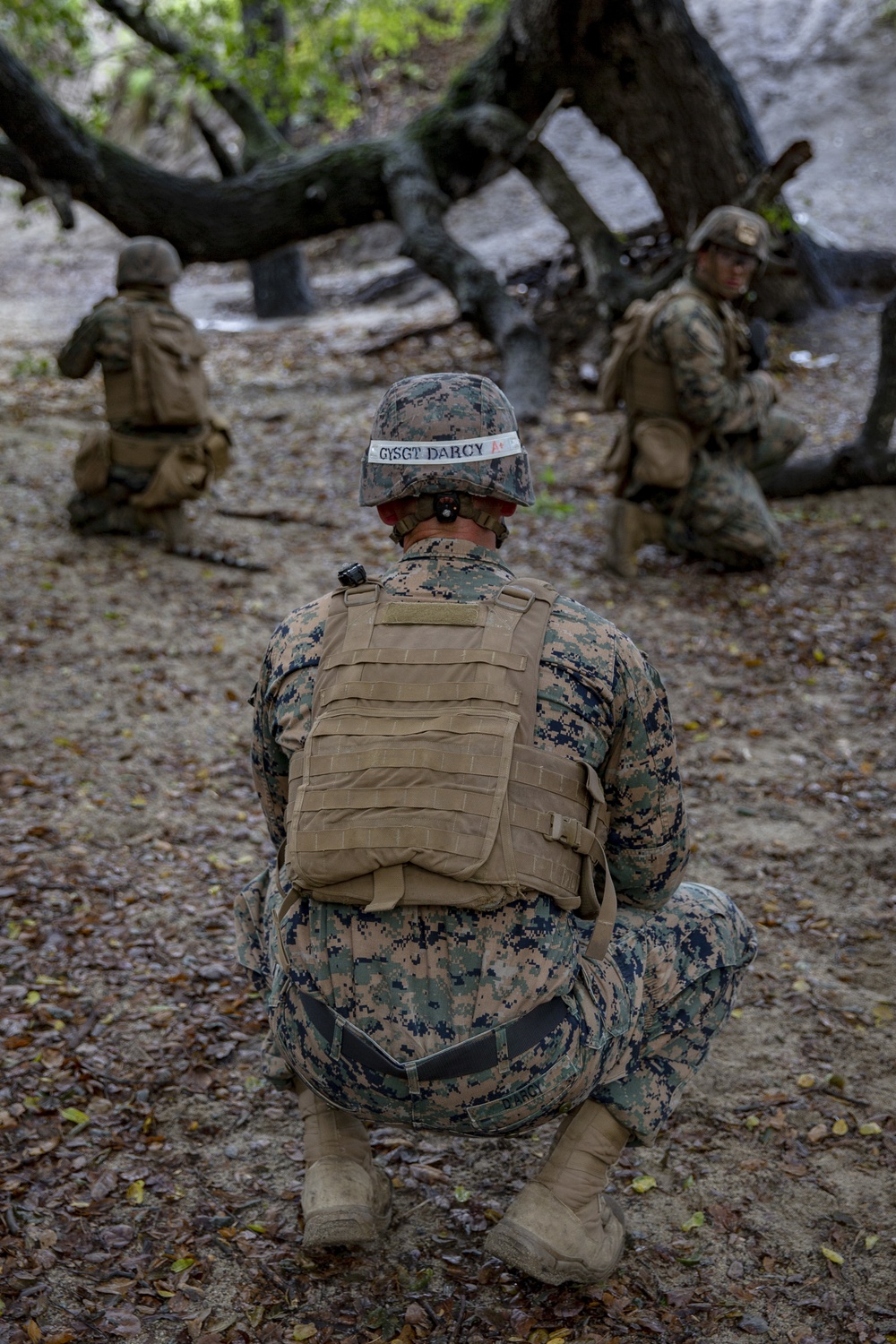 DVIDS - Images - IMC Marines conduct fire and movement drills [Image 5 ...