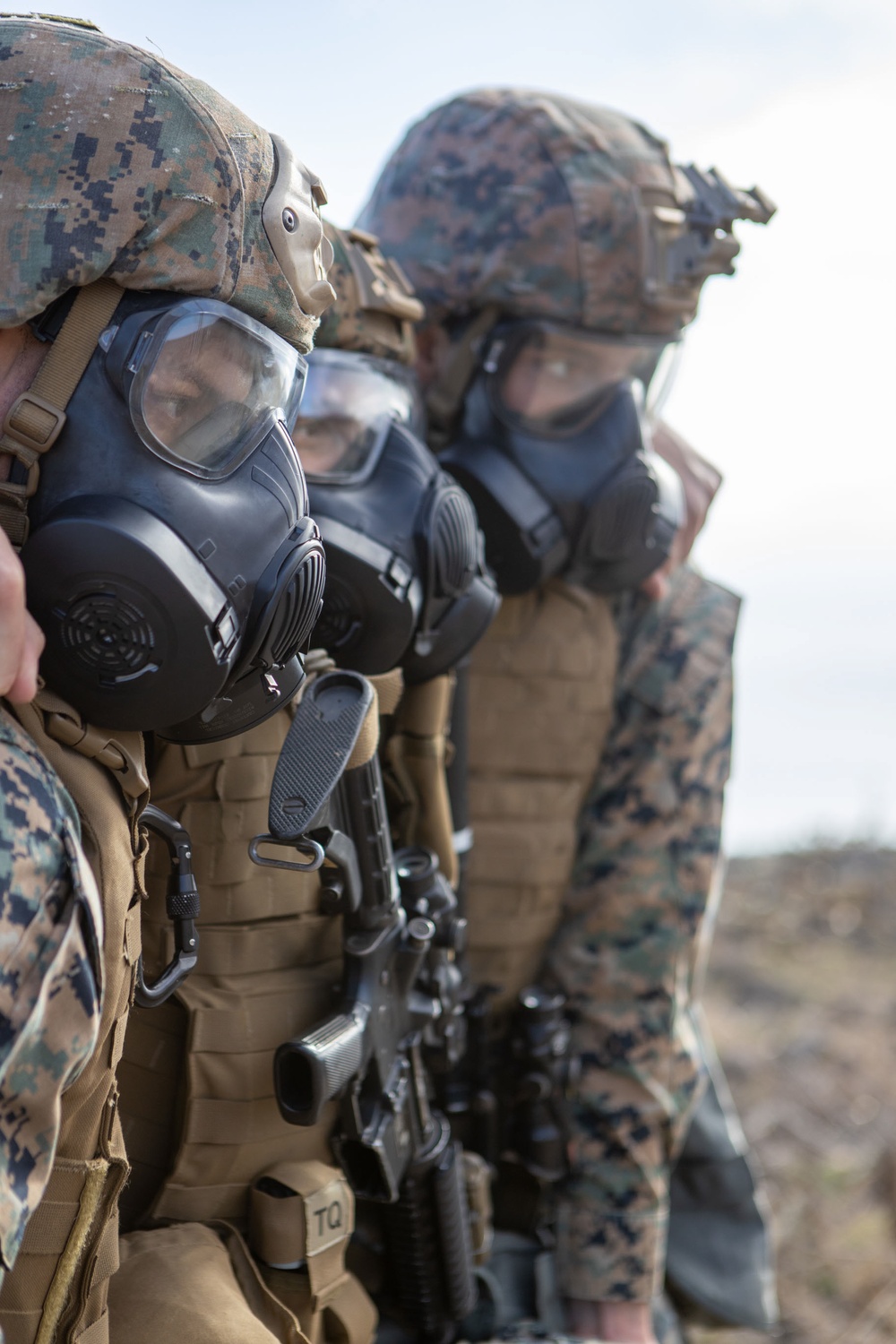 DVIDS - Images - 1st ANGLICO Conducts Call for Fire Drills [Image 6 of 10]